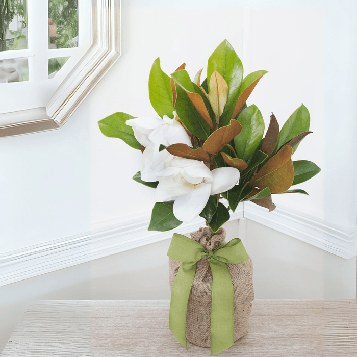 Funeral Plants & Sympathy Plants: A Lasting Gift of Comfort – The ...